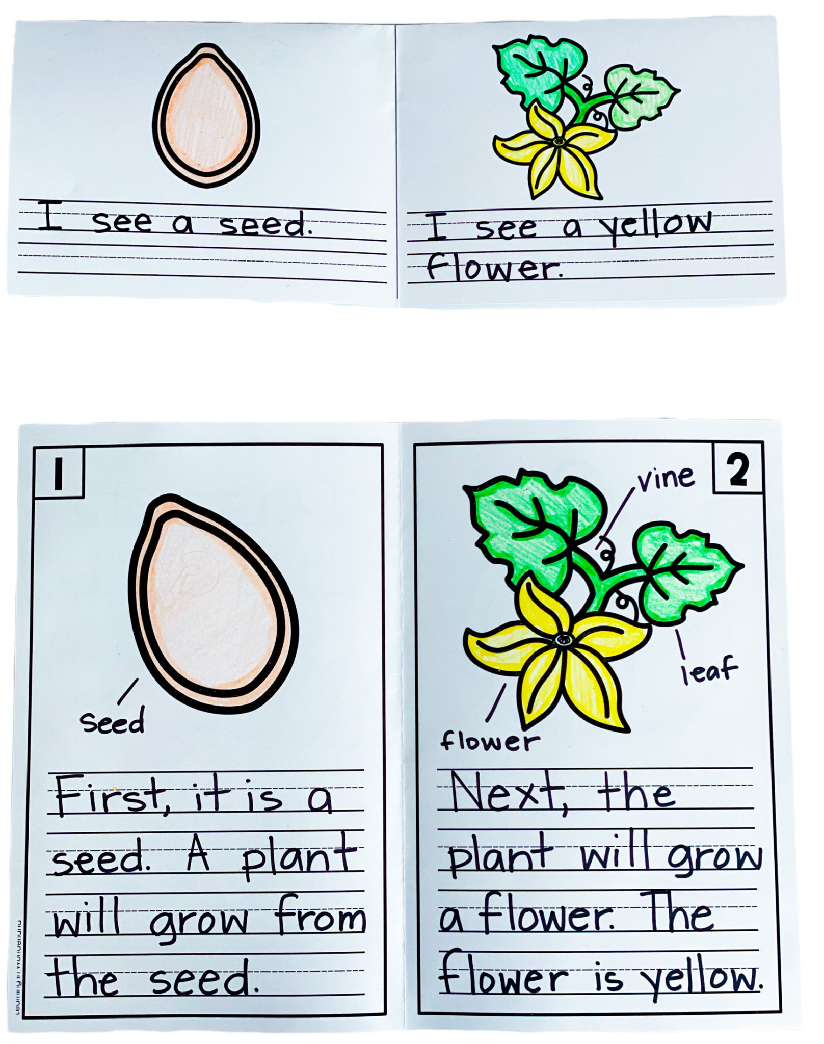 Picture Prompts for Emergent Writers - Learning in Wonderland
